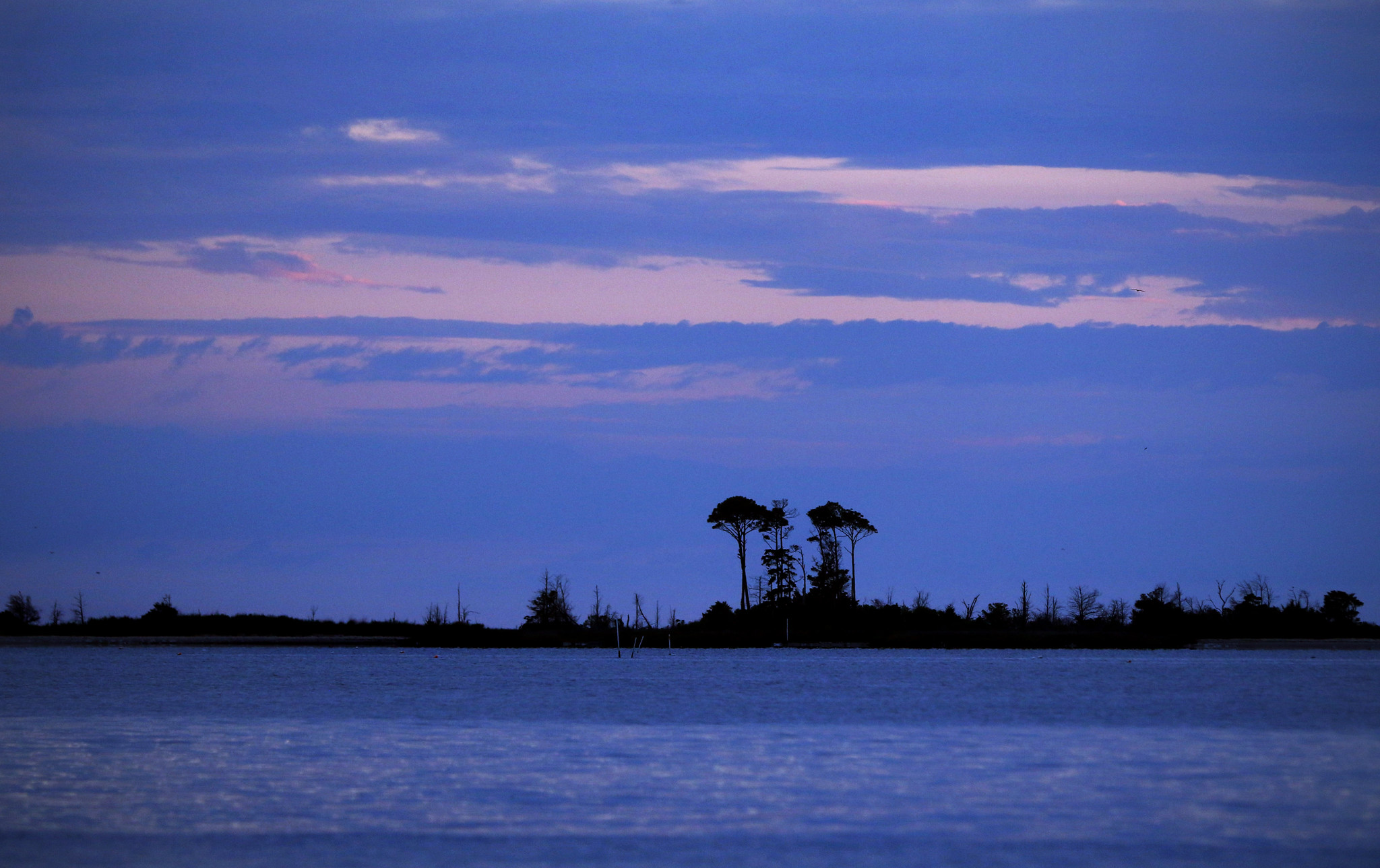 Home - Virginia Sea Grant