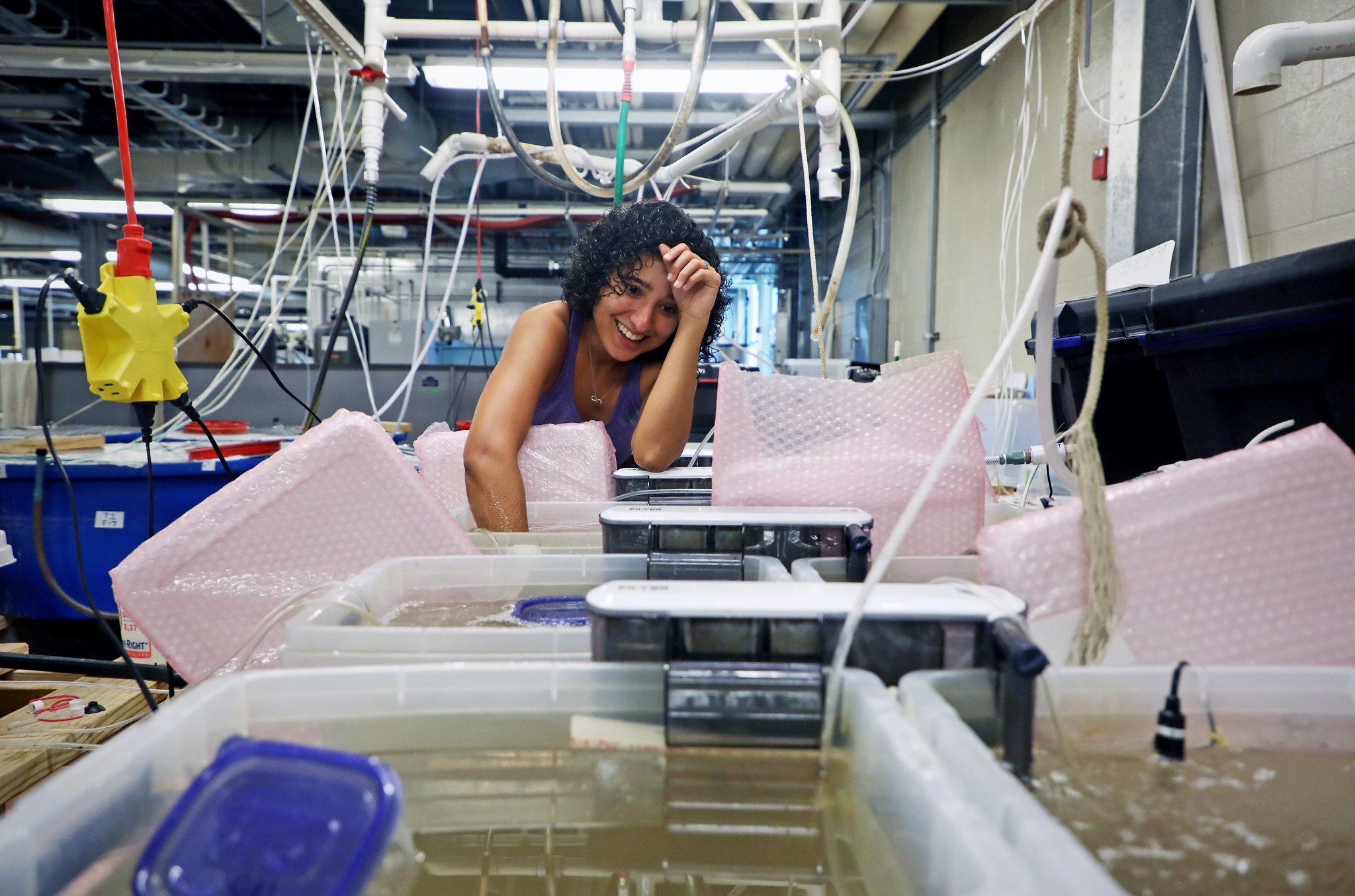 Home - Virginia Sea Grant