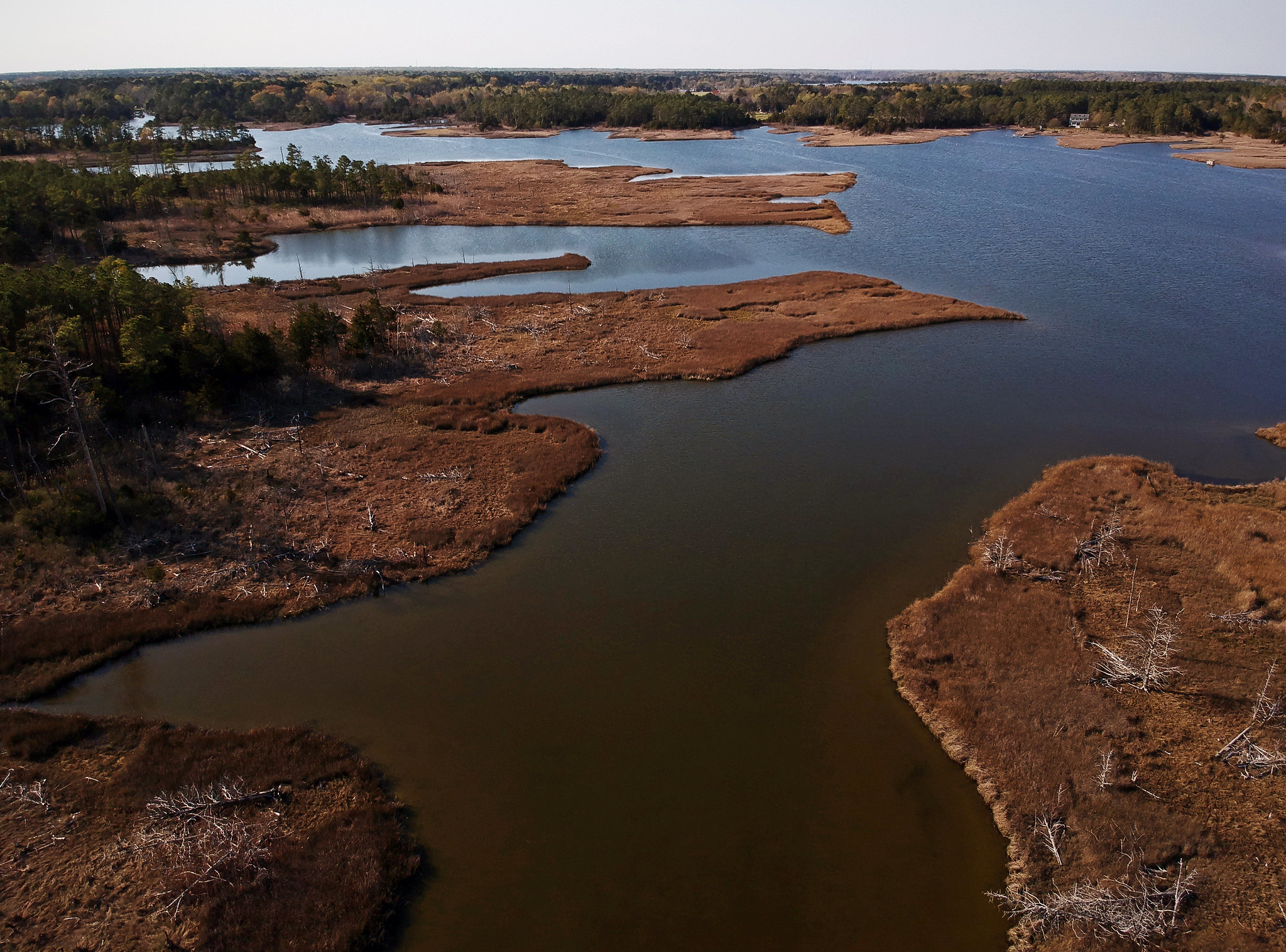 Virginia Environmental Endowment supports Commonwealth Fellowship