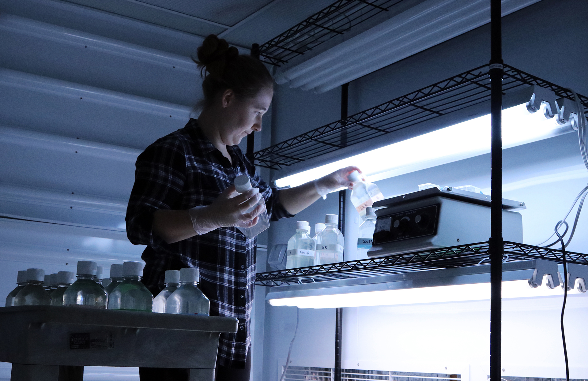 Virginia Sea Grant fellow studies nitrogen cycling in the York River