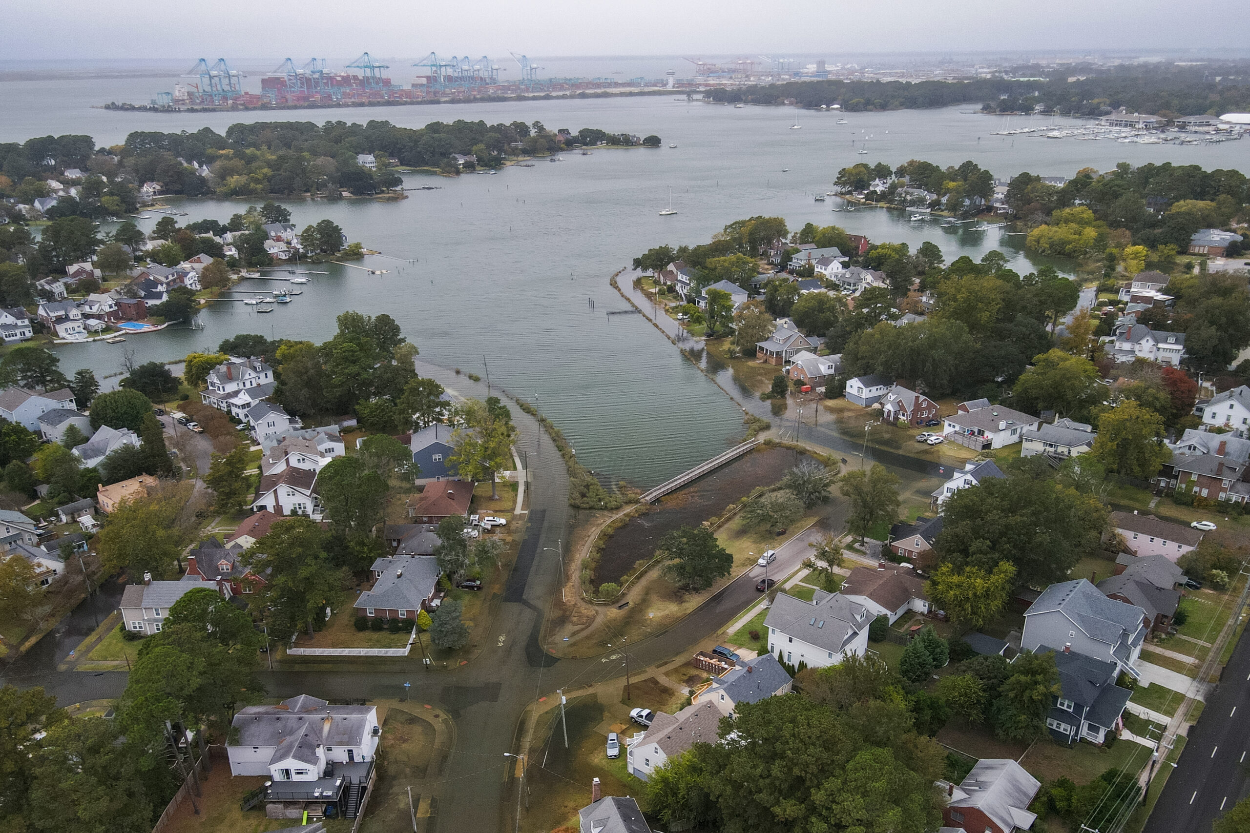 2024 Commonwealth Fellow Announced - Virginia Sea Grant