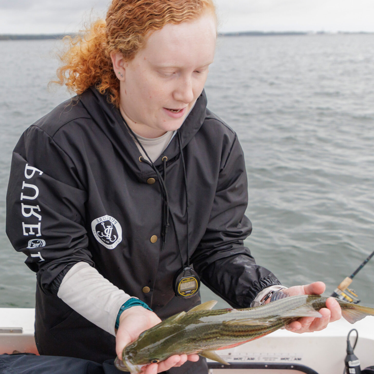 What Happens After the Catch? Tracking Striped Bass in the Chesapeake ...